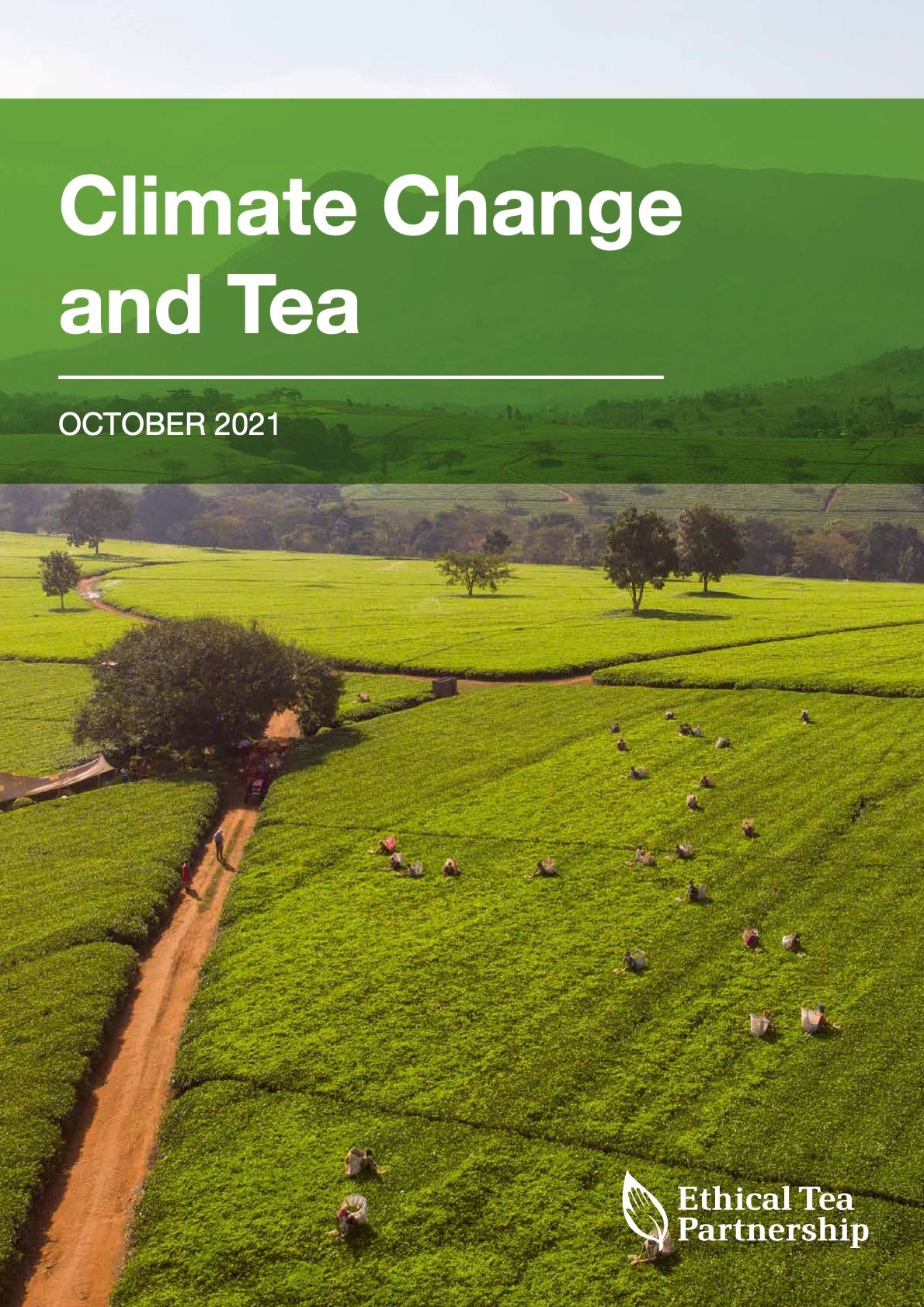 Climate Change and Tea Briefing Paper - ETP