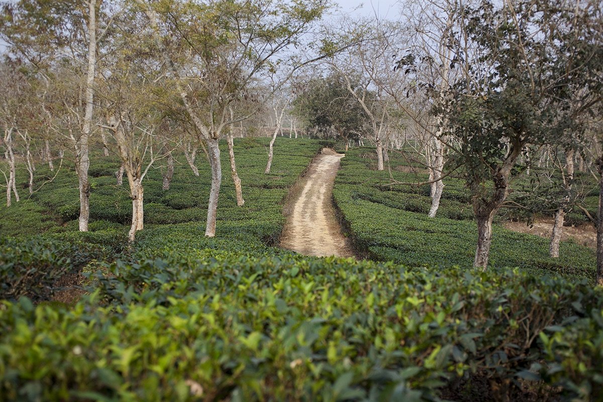 ETP Membership Application - ETP