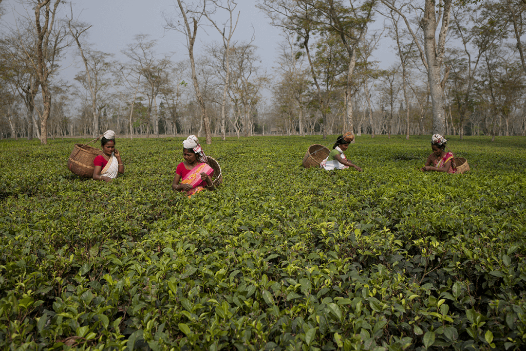 ETP Membership Benefits - ETP