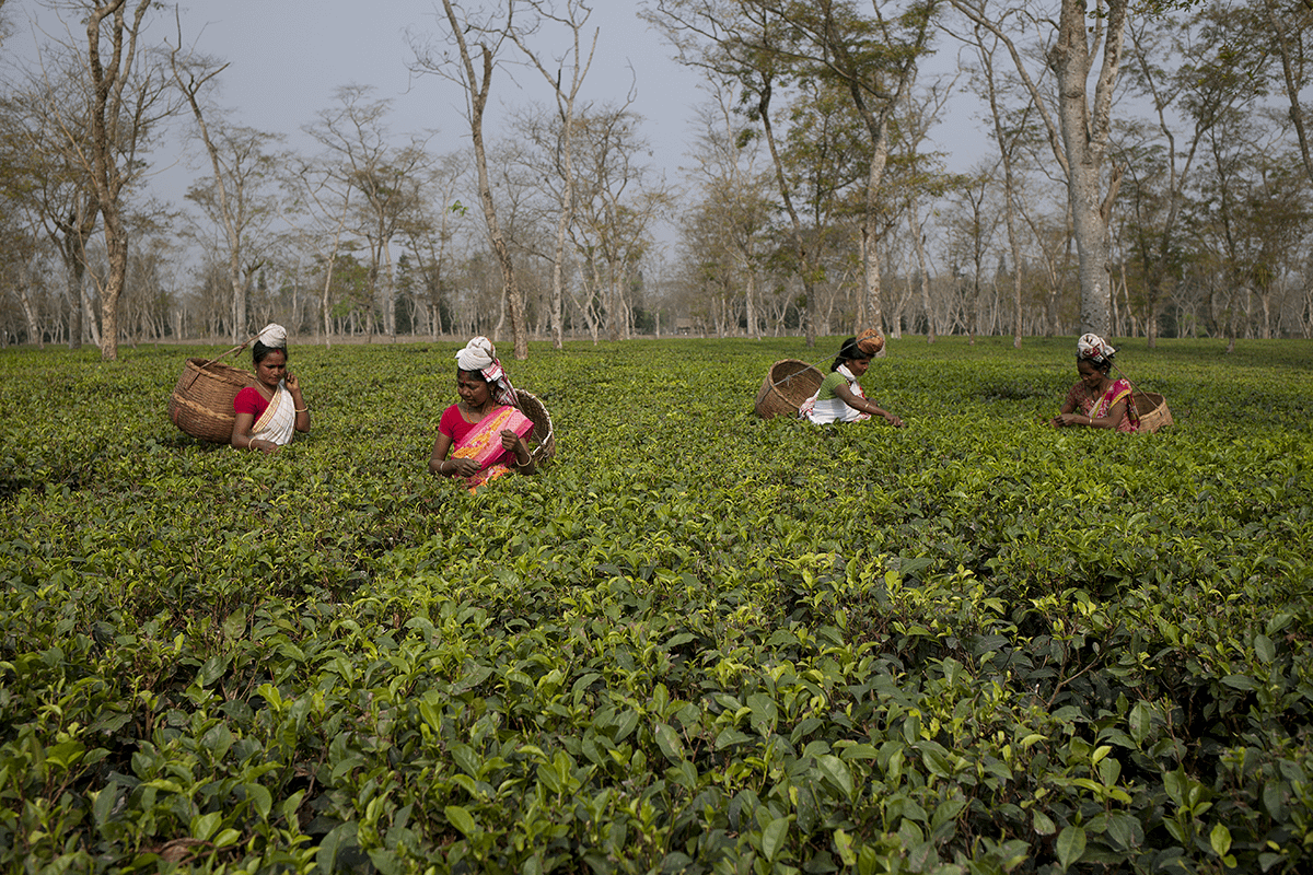 ETP Membership Benefits - ETP