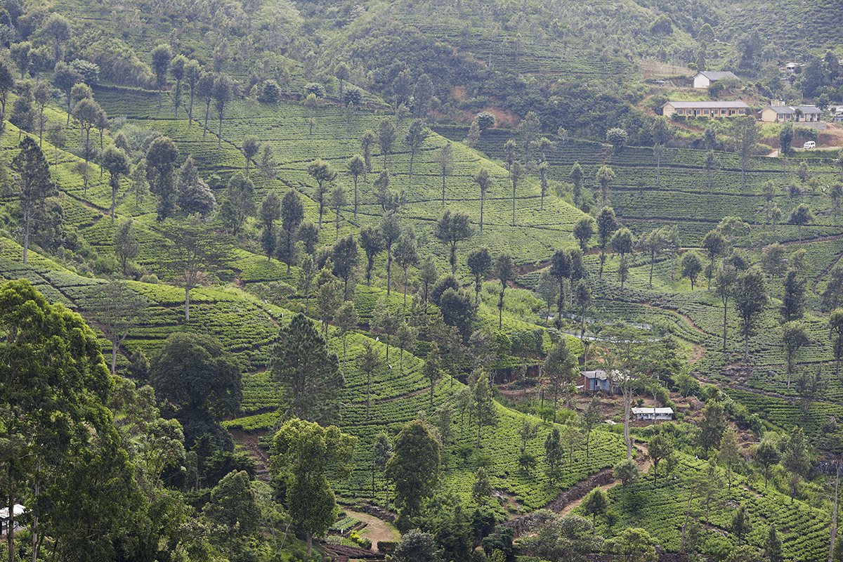 ETP Membership Fees - ETP