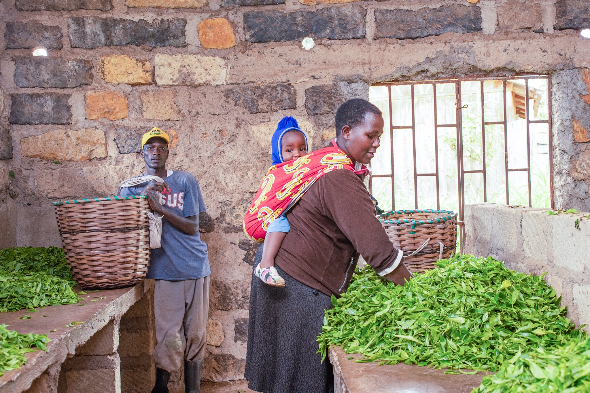 Facilitating an informed future for families - ETP