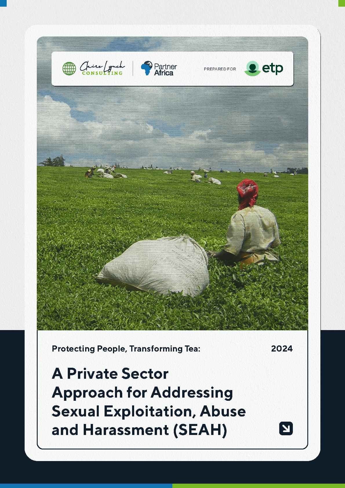 A Private Sector Approach for Addressing Sexual Exploitation, Abuse and ...